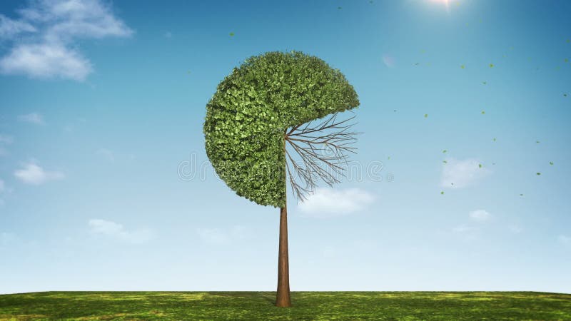 Grow Tree Shape Pie Chart. Indicated 80 Percents. Green Icon. Stock ...