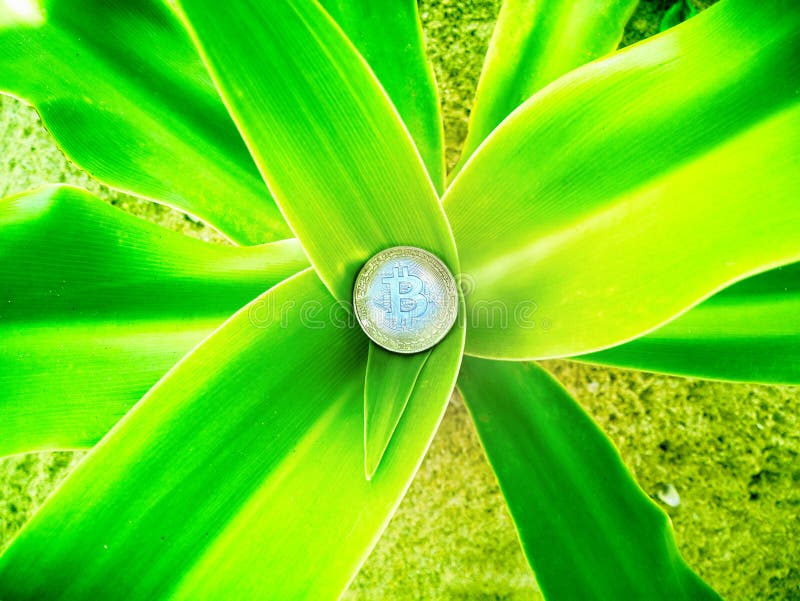 Grow Your Capital in Exotic Stock Image - Image of landscape, financial ...