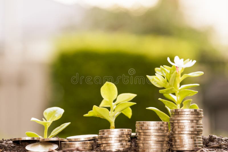 Growing Coins with Trees - Investments or Saving Money Concept. Stock ... Growing Coins with Trees - Investments or Saving Money Concept. Stock ...