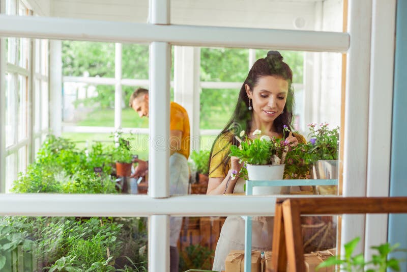 Two Florists Working Behind the Shop Windows. Stock Image - Image of ...