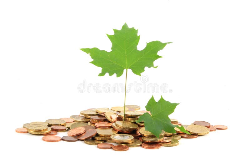 Growing funds stock image. Image of currencies, economic - 2816327