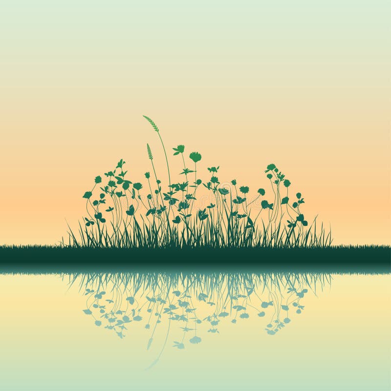 Grass on water stock vector. Illustration of growth, element - 11355356