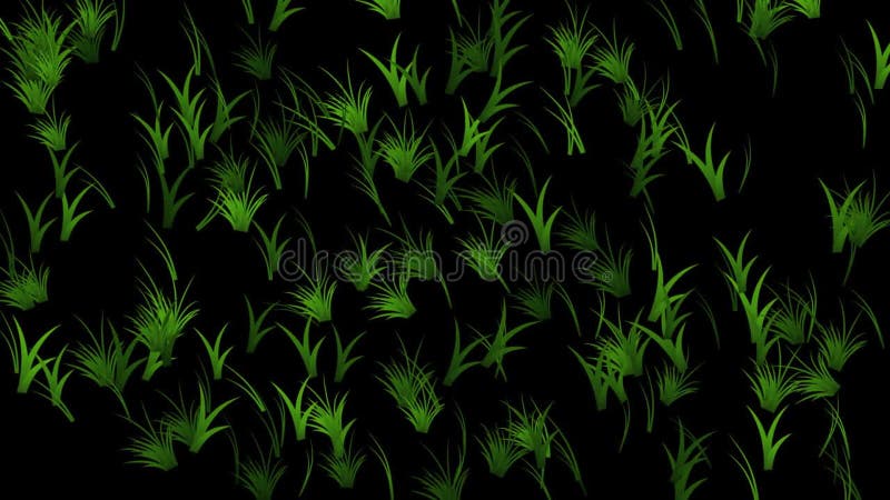 Growing Green Grass Motion Graphics with Plain Black Background Stock ...