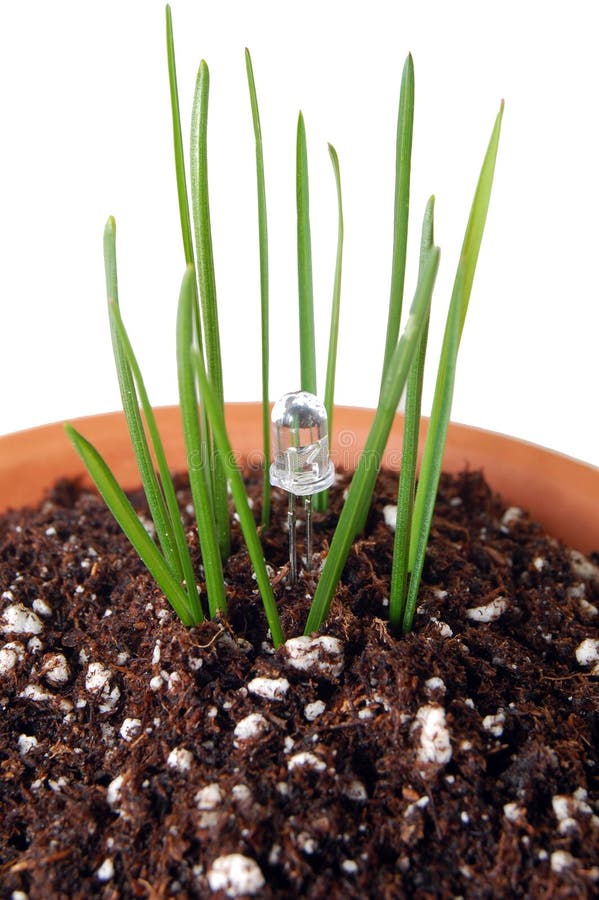 Growing Green Technology-LED Stock Photo - Image of earth, carbon: 4722354