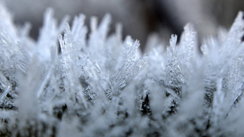 Growing ice in the winter stock photo. Image of winter - 222175832