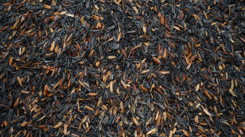 Growing Media Made of Burned Rice Bran Stock Photo - Image of gardening ...