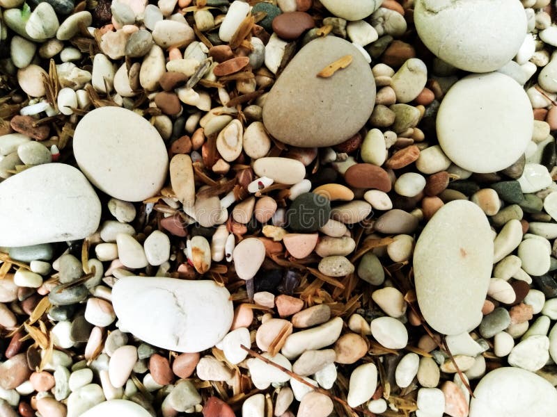 Gardening, mixed rocks stock image. Image of flooring - 204543619