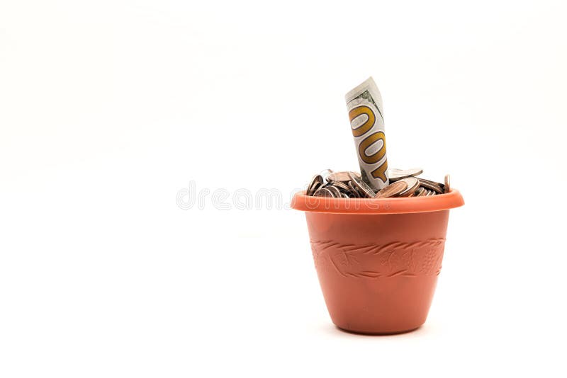 Growing Money stock photo. Image of food, note, metal - 78130254