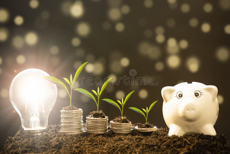 Growing Money Plant on Energy Saving Light Bulb with Piggy and Tree ... Growing Money Plant on Energy Saving Light Bulb with Piggy and Tree ...