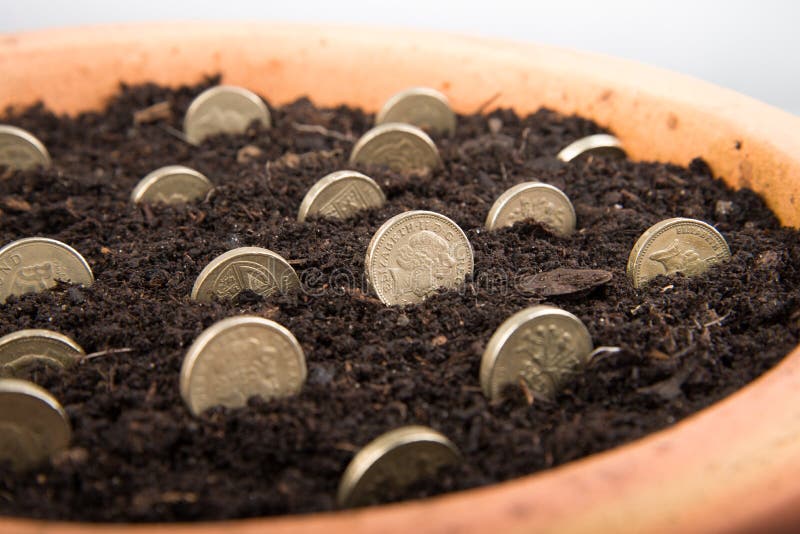 Growing money in pot editorial stock image. Image of environment - 43218604