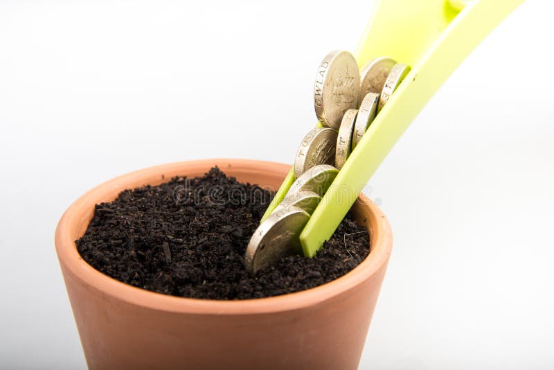 Growing money in pot stock image. Image of earnings, concept - 43218485
