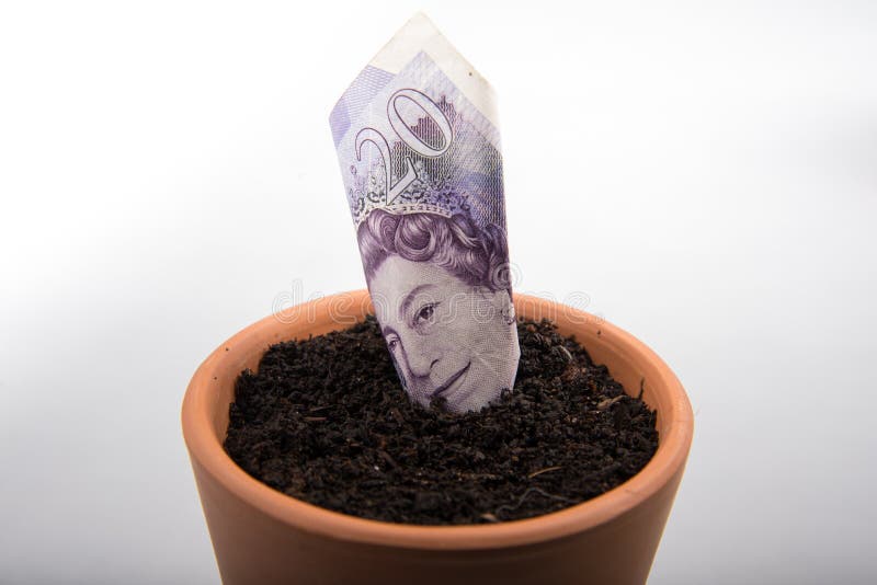 Growing money in pot editorial stock image. Image of environment - 43218604