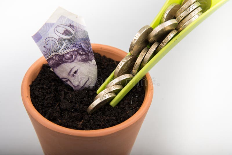 Growing money in pot editorial stock image. Image of environment - 43218604
