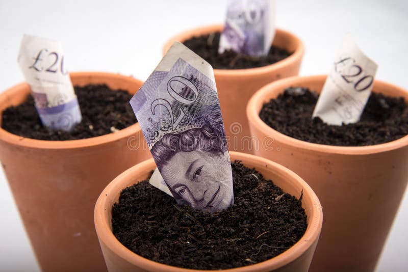 Growing money in pot editorial stock image. Image of environment - 43218604