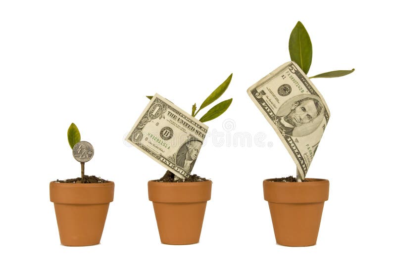 Pots of money stock photo. Image of container, growing - 8998722