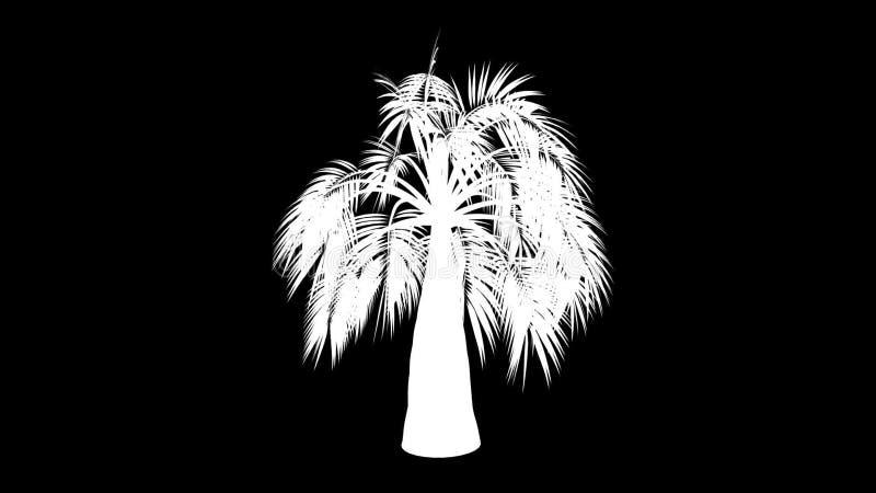 Growing Palm Tree Animation and Alpha Animation for Desinger. Stock ...
