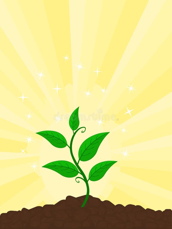 Growing plant stock vector. Illustration of ecology, life - 7643677