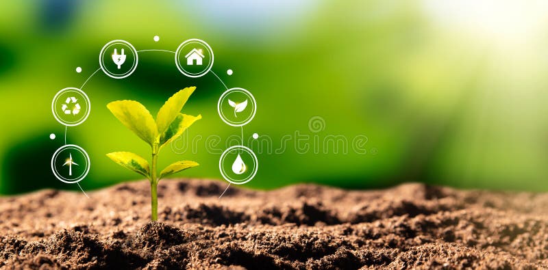 Growing Plant, Earth Day, Environmental Concept Stock Image - Image of ...