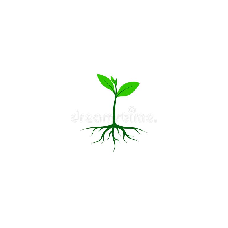 Growing Plant Icon Vector Graphics Stock Vector - Illustration of ...