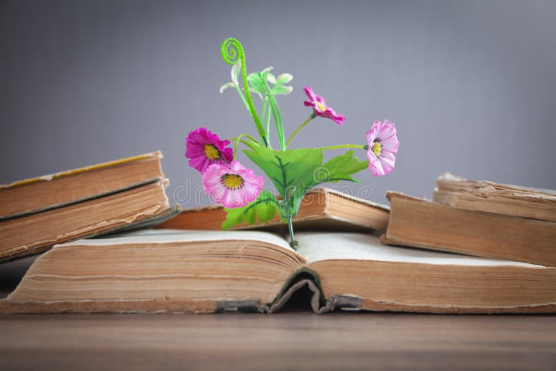 Growing Plant from Old Book Stock Photo - Image of book, prosper: 247270434