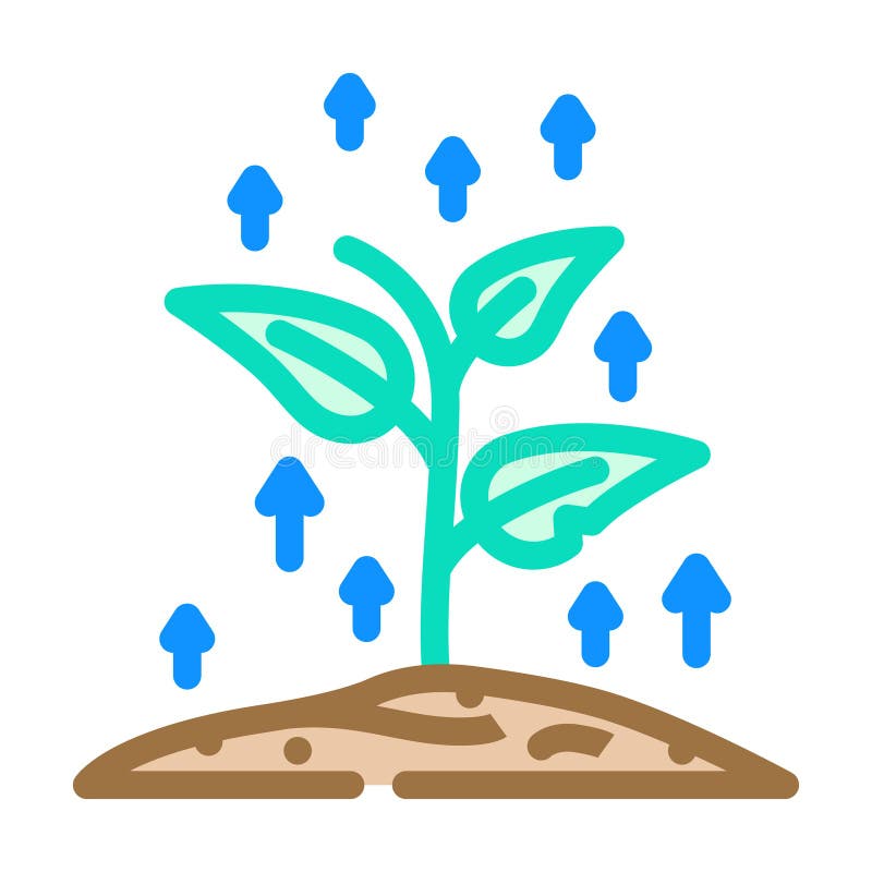 Growing Plant Progress Color Icon Vector Illustration Stock Vector ...