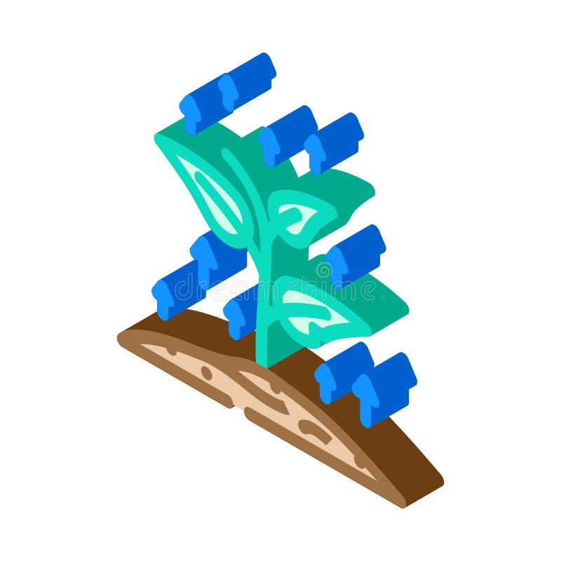 Growing Plant Progress Isometric Icon Vector Illustration Stock ...