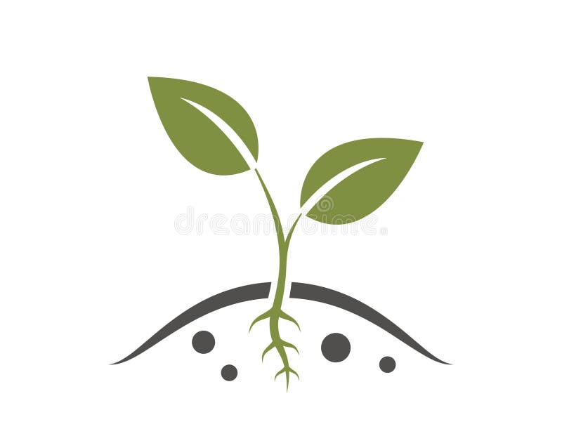 Growing Plant Sprout. Spring, Farming and Planting Symbol. Vector Image ...