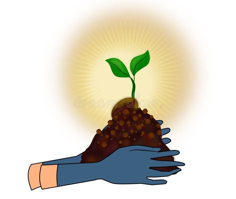 Growing Plants Illustrations Isolated Stock Image - Image of soil ...