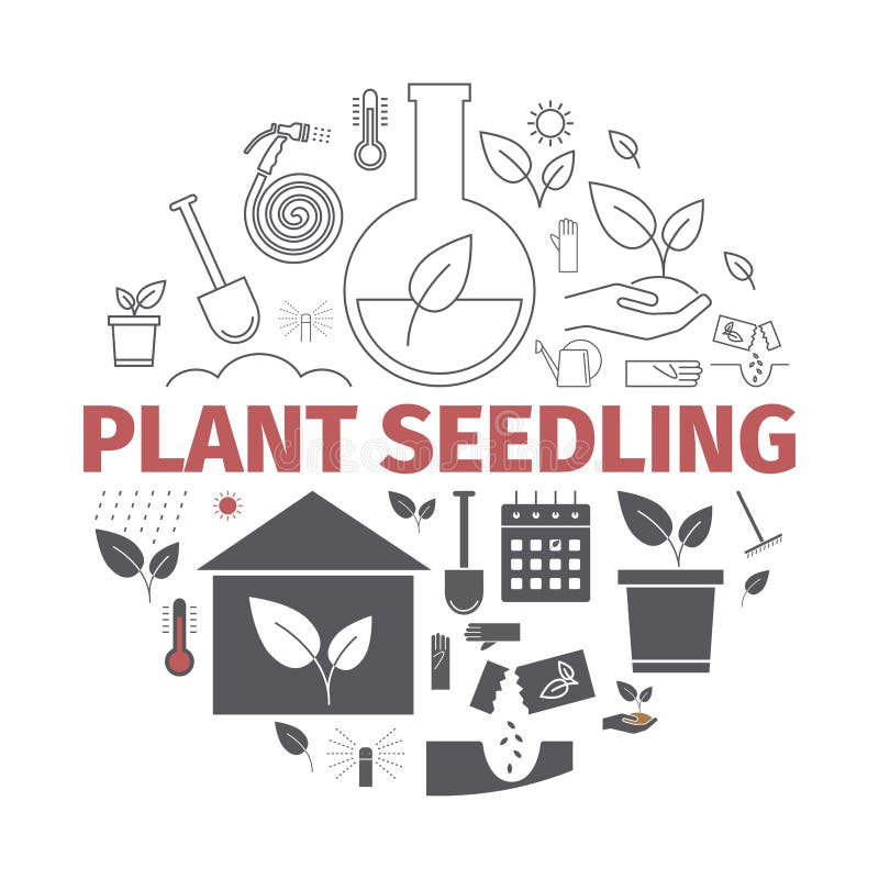 Growing Plants Web Banner. Vector Signs for Web Graphics Stock Vector ...