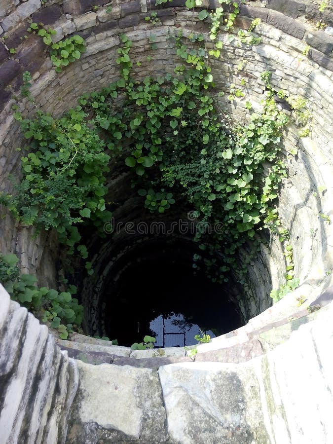 Old Well & Plants stock image. Image of plants, green - 101147191