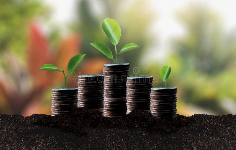 Growing Savings Coins Investment Growing Graph Business Development and ...