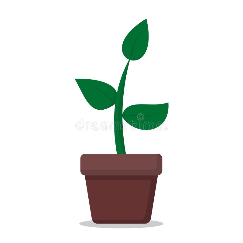 Growing Seedling in a Pot Vector Illustration Isolated on White Stock ...