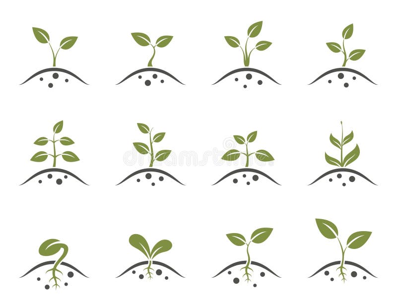 Growing Sprout Icon Set. Spring, Planting and Seedling Symbols. Vector ...