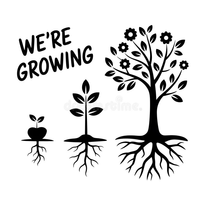 Growing Stages: Seedling, Sapling, and Mature Tree with Roots ...