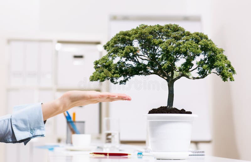 Growing success stock image. Image of ecology, measure - 48049437