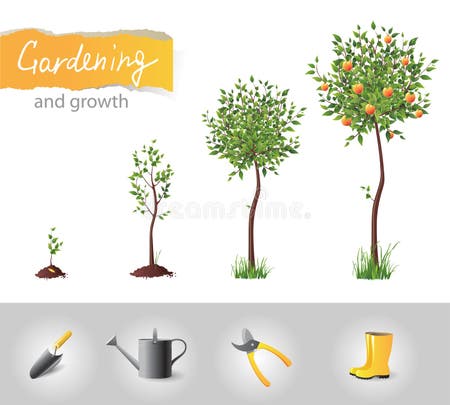 Growing tree stock vector. Illustration of equipment - 28939658