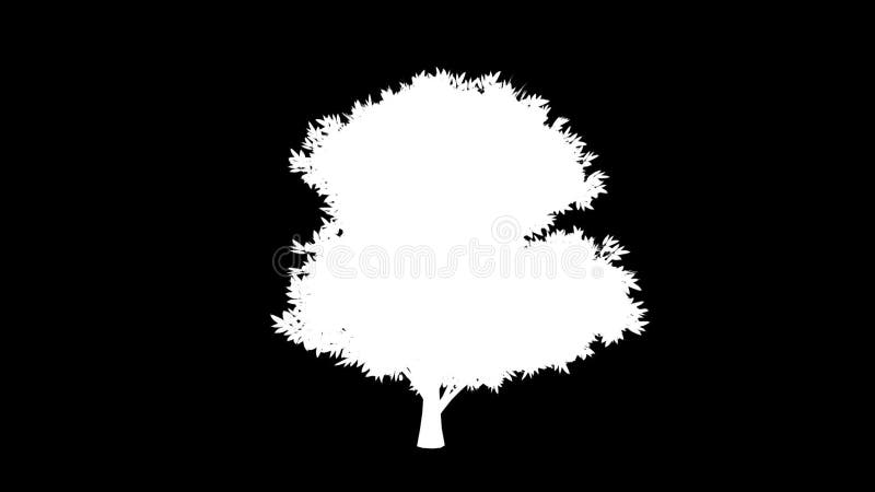 Growing Tree Animation and Alpha Animation for Desinger. Stock Footage ...