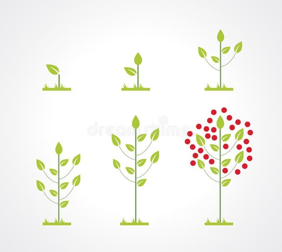 Growing tree icon set stock illustration. Illustration of ideas - 72569464