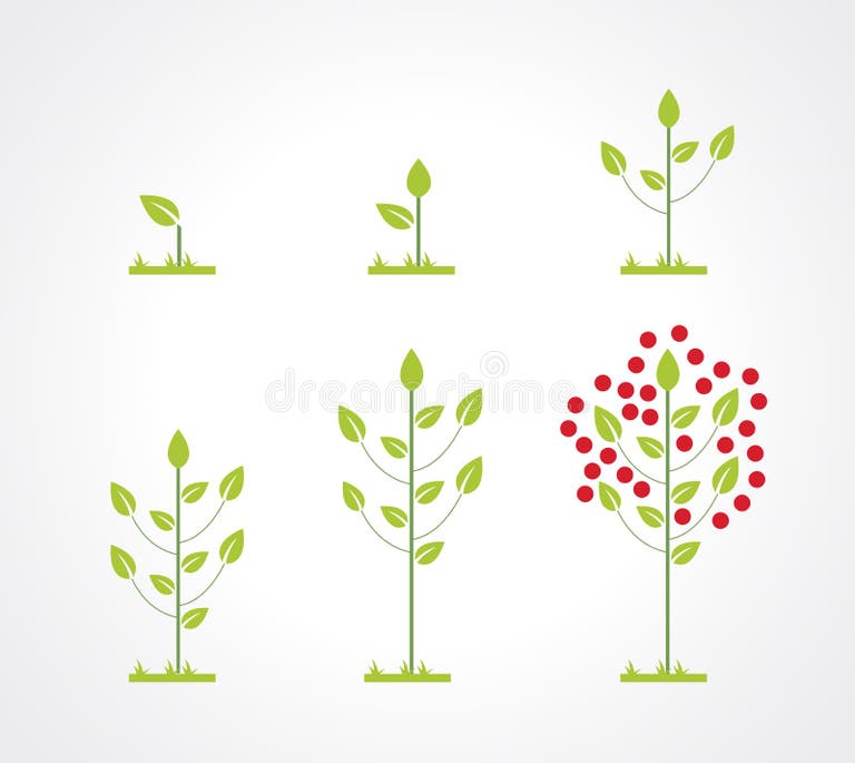 Growing tree icon set stock illustration. Illustration of ideas - 72569464