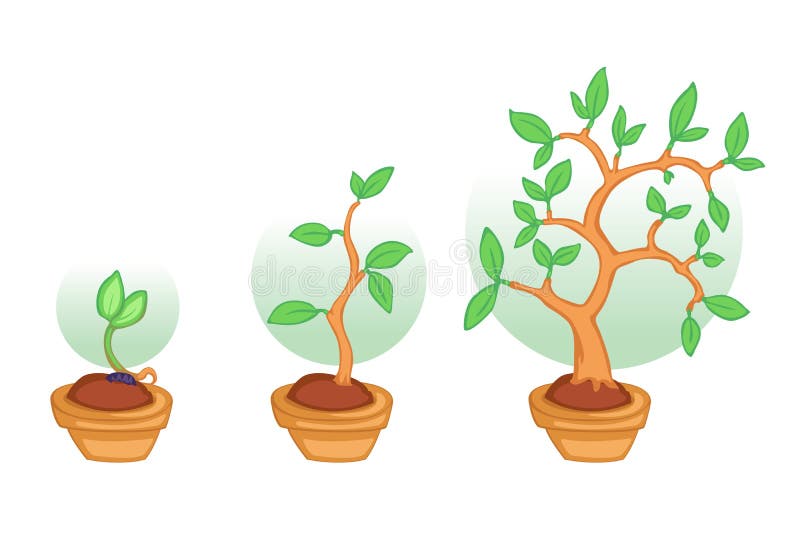 Growing tree stock vector. Illustration of life, herb - 51746061