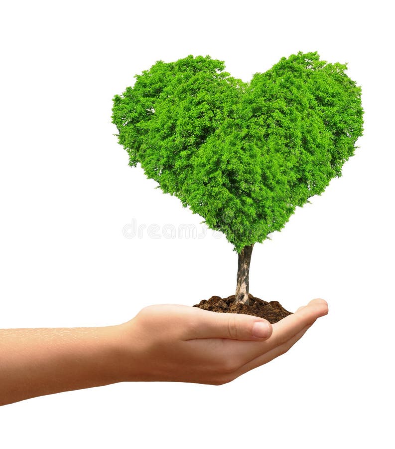 Environmental Awareness and Protection Concept Stock Photo - Image of ...