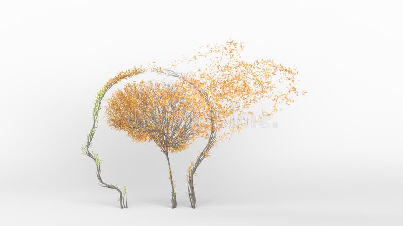 Growing Tree in a Shape of Human Brain Inside a Head. Eco Concept Stock ...