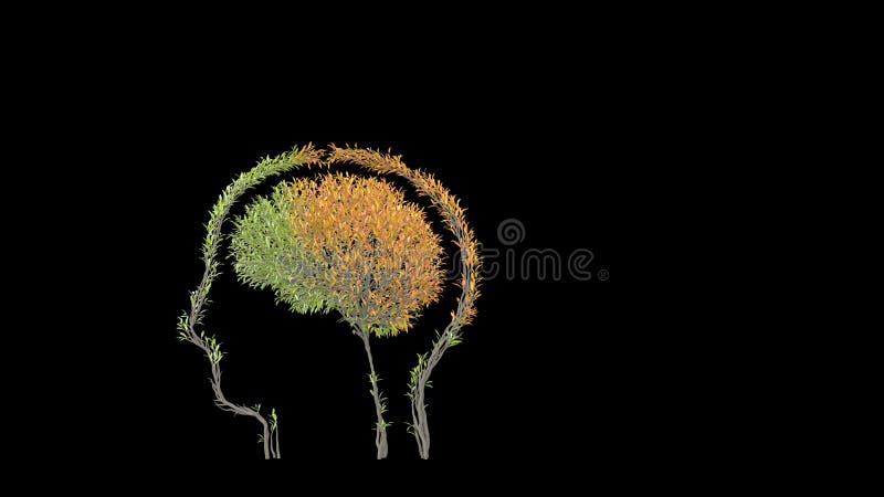 Growing Tree in a Shape of Human Brain Inside a Head. Eco Concept Stock ...