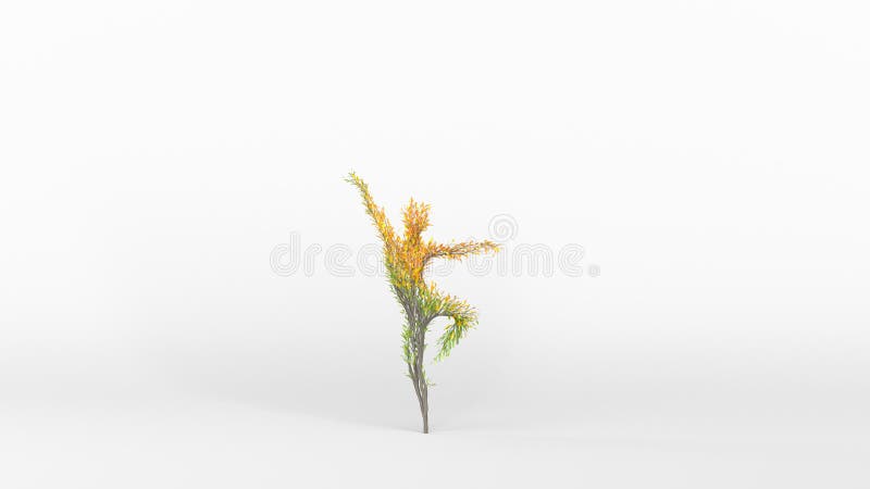 Growing Tree in a Shape of a Human. Eco Concept Stock Illustration ...