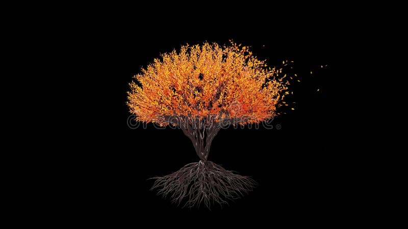 Growing Tree in a Spherical Shape. Seasonal Transition. from Summer To ...