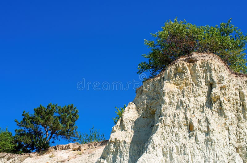 Growing Tree on Top of a Cliff Stock Photo - Image of land, grow: 273828996