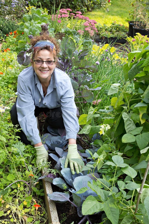 Woman Weeding Her Vegetable Garden Stock Photo - Image of agronomy ...