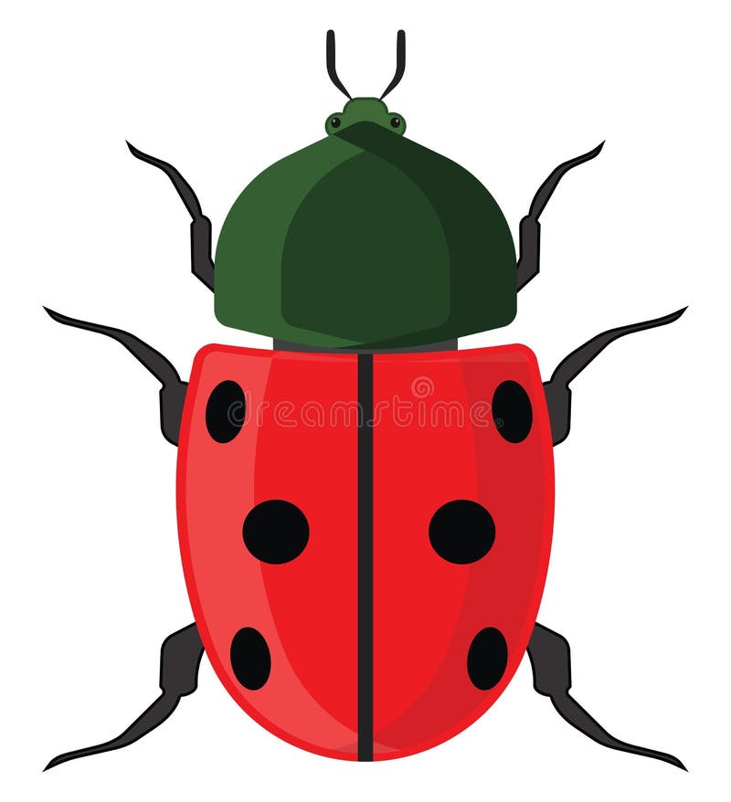 Grown red ladybug, icon stock vector. Illustration of wildlife - 261386708
