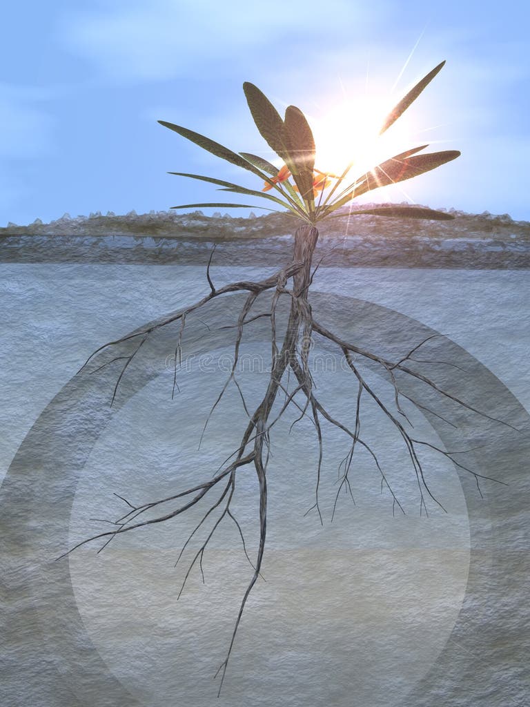 Sun Water Soil Plant Stock Illustrations – 1,870 Sun Water Soil Plant ...