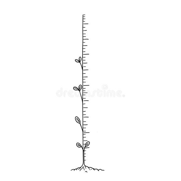 Growth Chart Measuring Plant Development in a Minimalist Style Stock ...